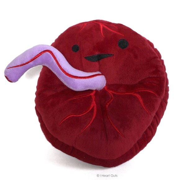 I Heart Guts | Toys | I Heart Guts Plush Placenta Toy Cute Organ ...